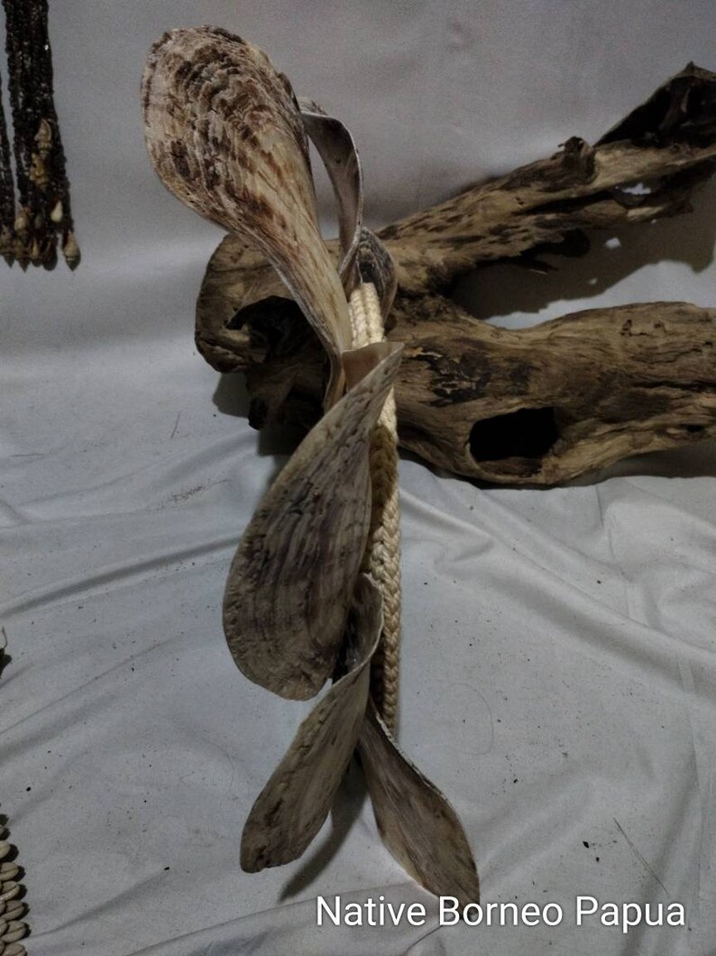 BIG Papua kuping Gajah Shells Necklacehome - Etsy