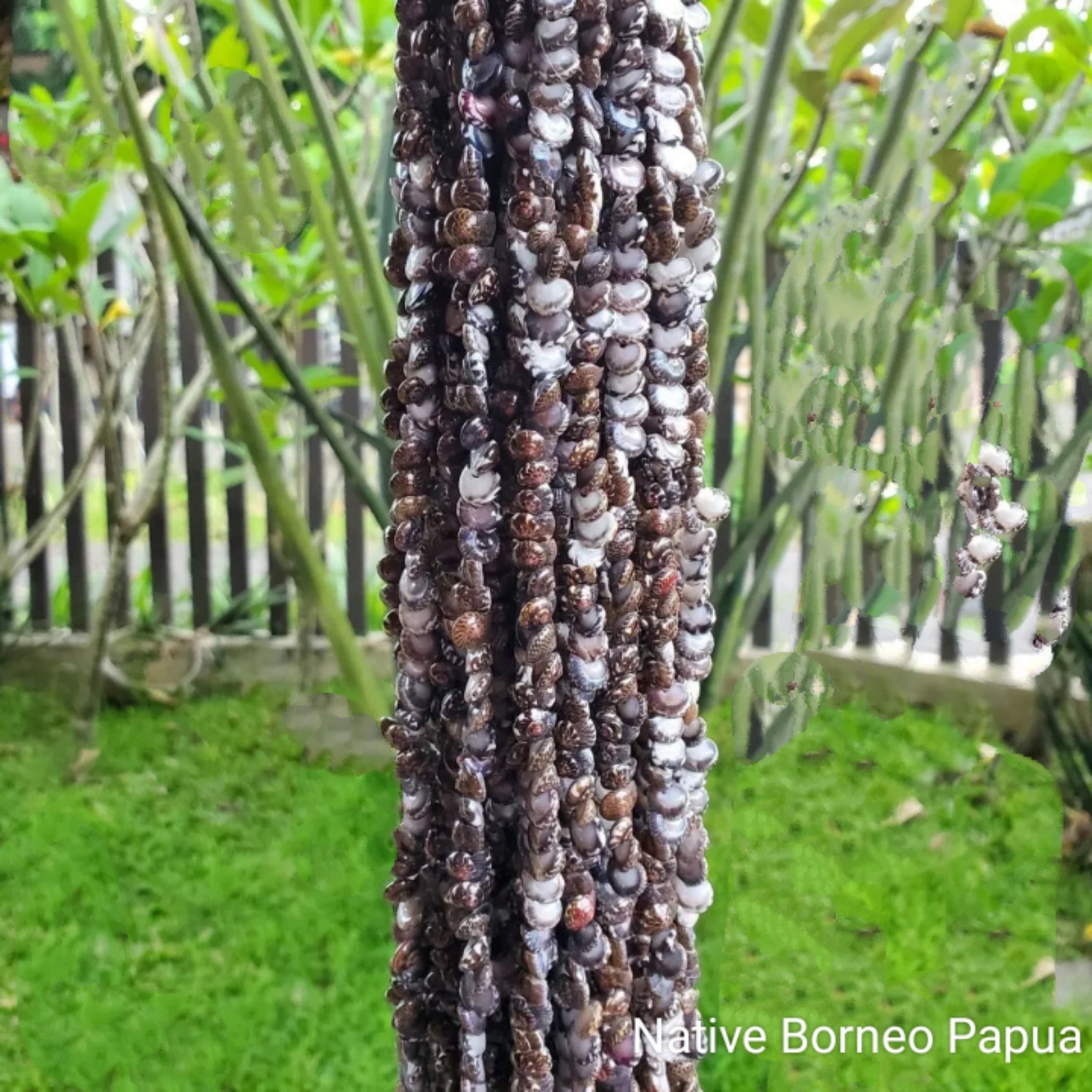 Exotic Sea Shell Curtains ,curtain for Doorway Curtains Hanging: Window ...