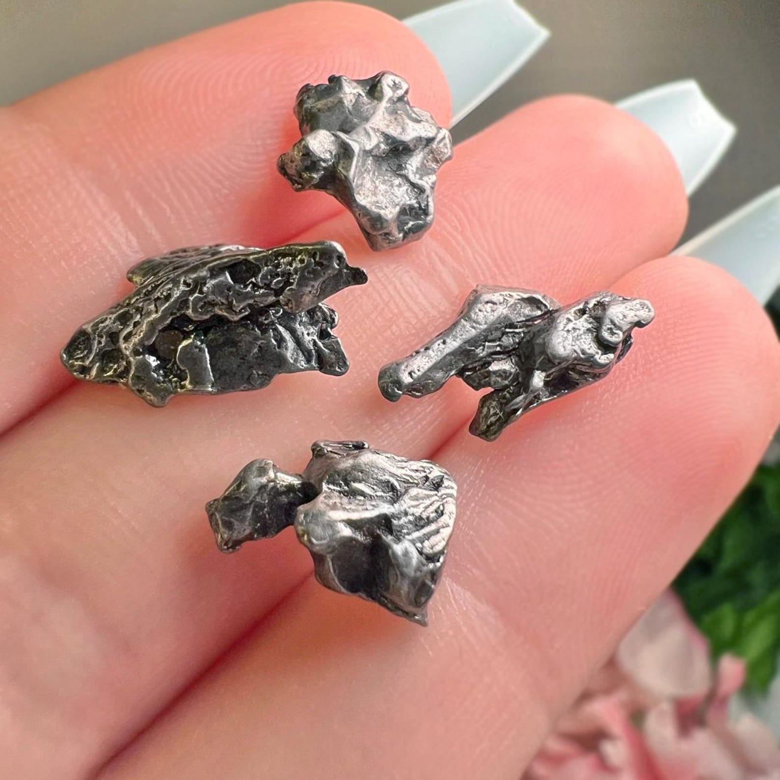Campo Del Cielo Meteorite | Shiny Meteorite Specimen | Argentinian ...