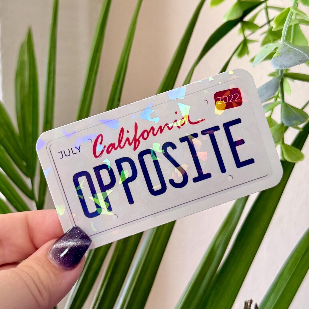 Opposite License Plate Emails I Can’t Send Sabrina Sticker • Die Cut ...