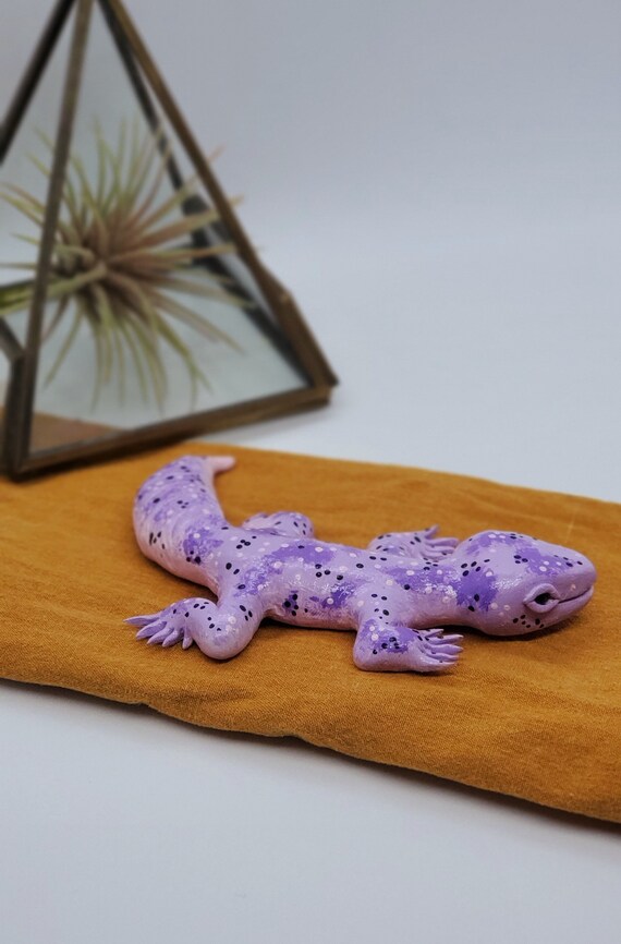 Purple Leopard Gecko