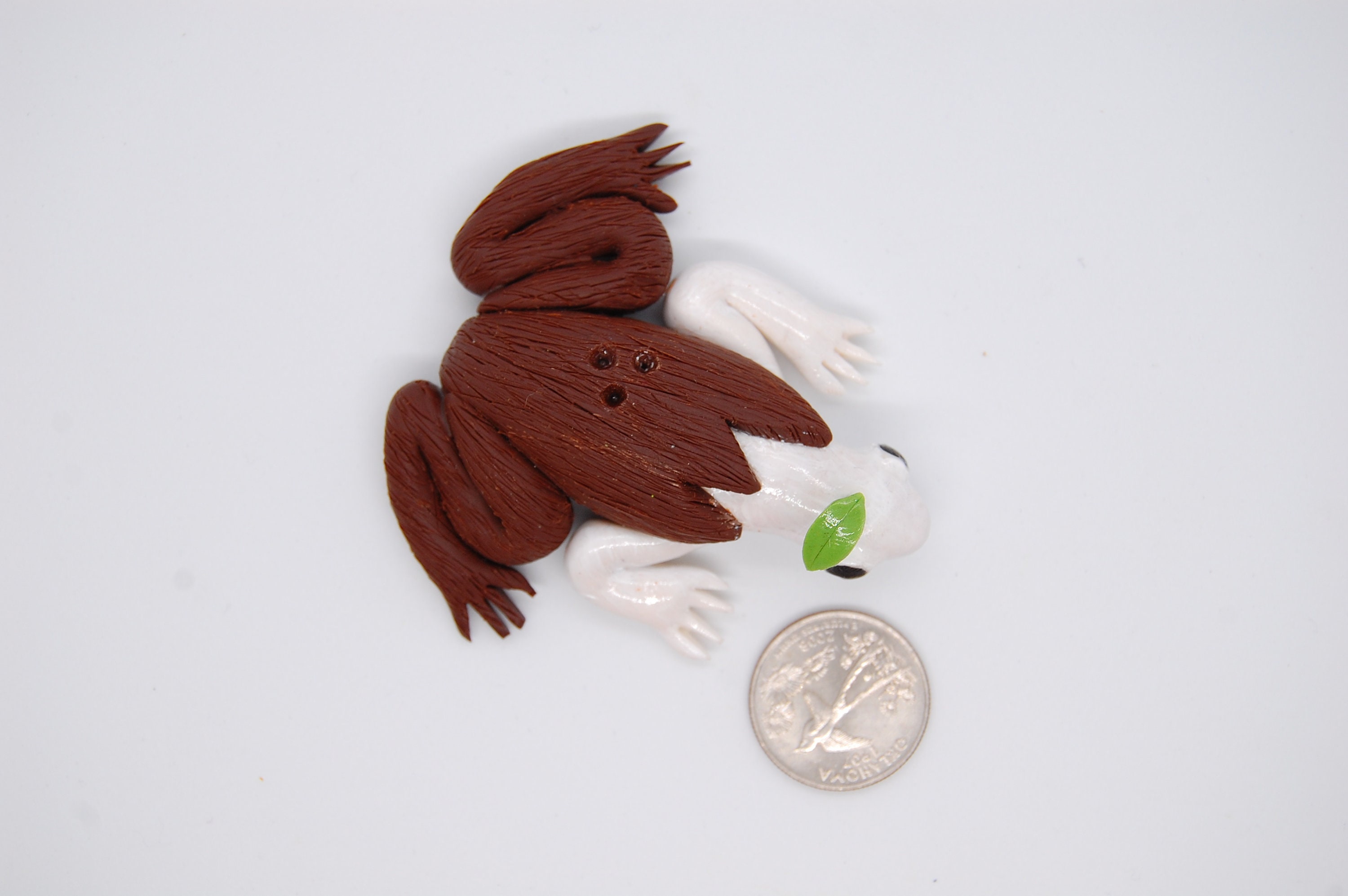 Coconut Frog Fruit Frogs Sculpture Polymer Clay White Brown Green - Etsy