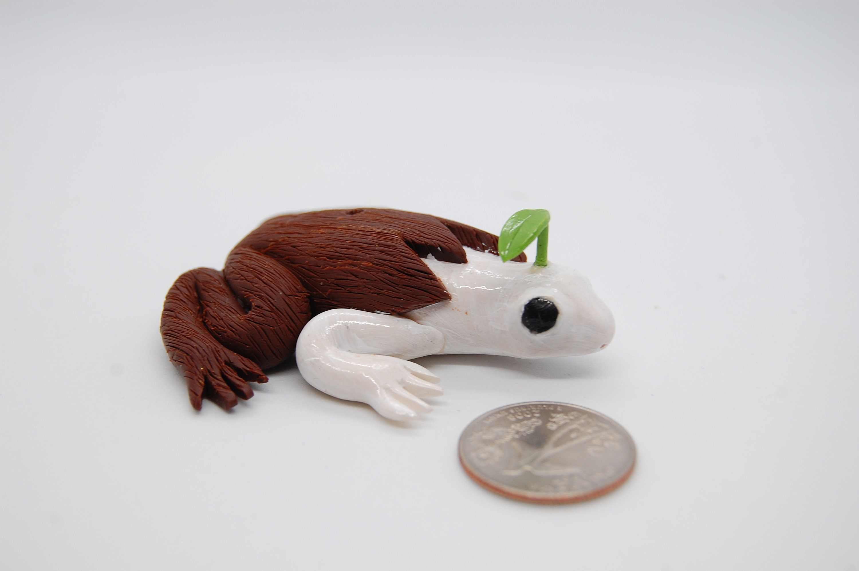 Coconut Frog Fruit Frogs Sculpture Polymer Clay White Brown Green - Etsy