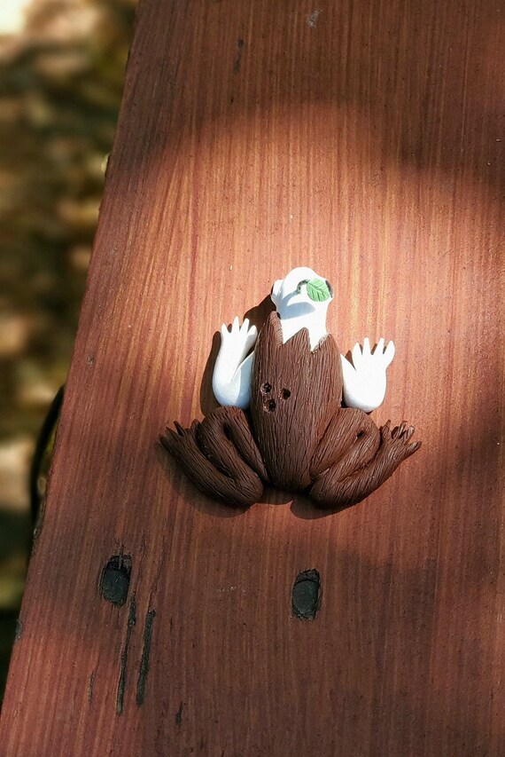 Coconut Frog Fruit Frogs Sculpture Polymer Clay White - Etsy