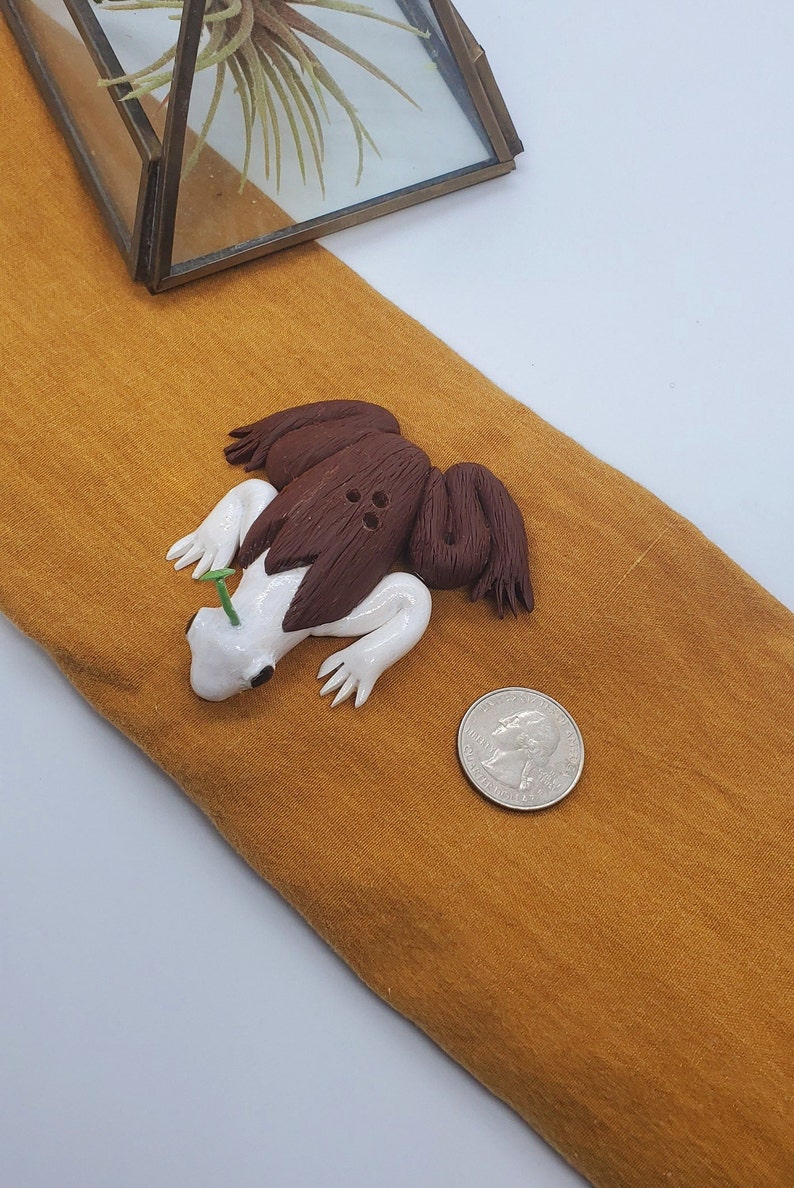 Coconut Frog Fruit Frogs Sculpture Polymer Clay White - Etsy
