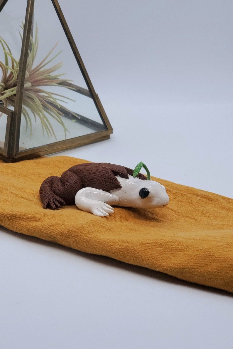 Coconut Frog Fruit Frogs Sculpture Polymer Clay White - Etsy