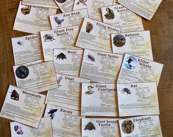 Druid Cheat Sheet Druid Quick Reference Guide Dnd Cheat - Etsy
