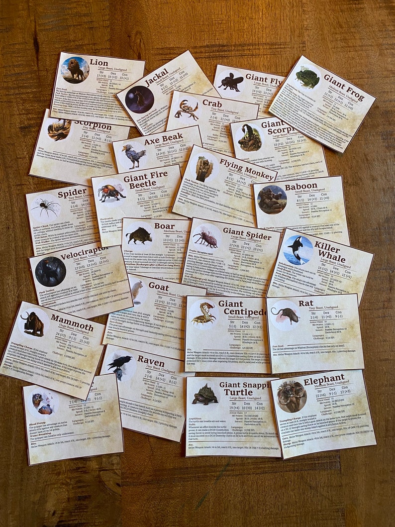 Pack 2: Druid Wild Shape Shaping Shapeshift Shifting Cards 5e Original ...