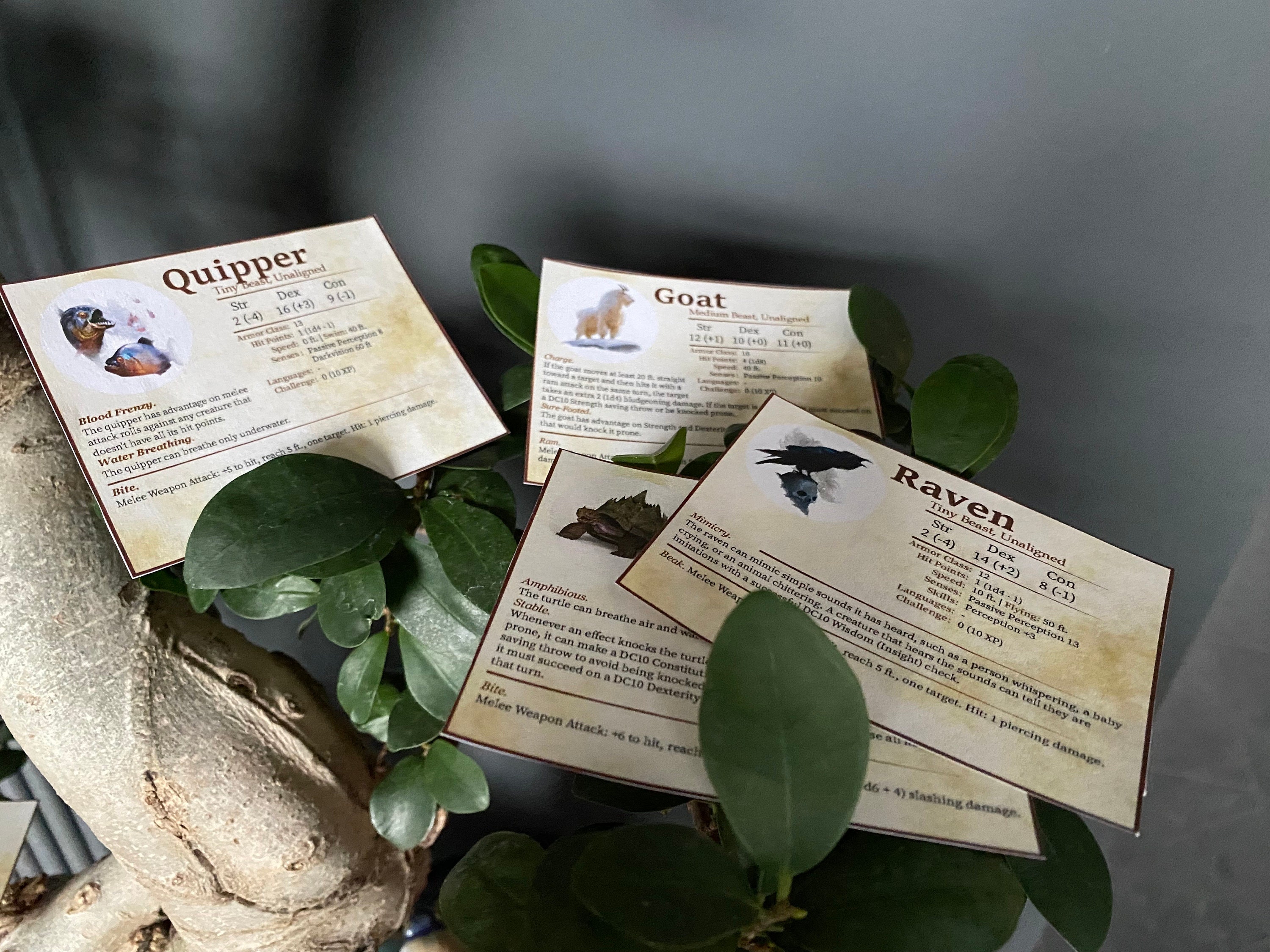 Pack 2: Druid Wild Shape Shaping Shapeshift Shifting Cards 5e Original ...