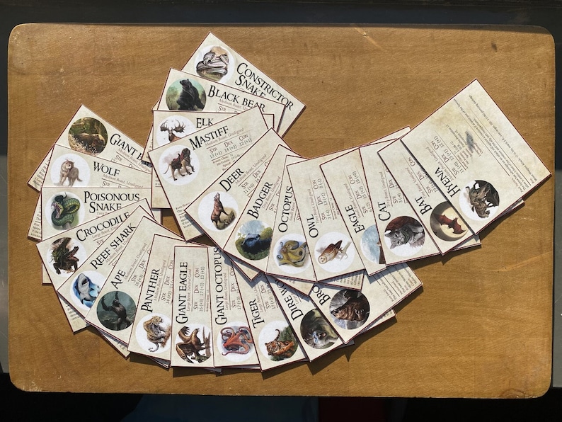 Druid Wild Shape Shapeshift Cards - Etsy