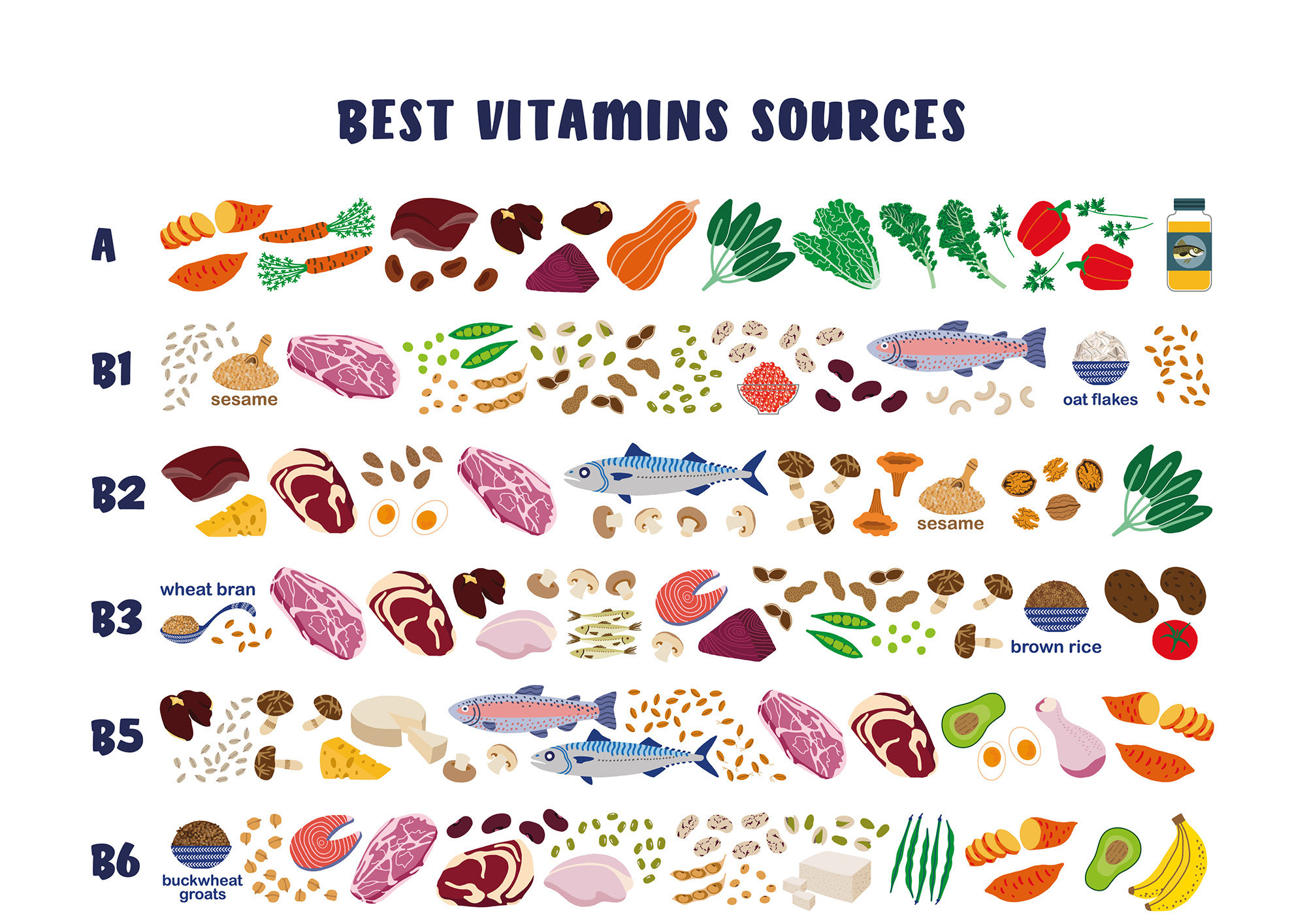 Vitamins Sources Printable Poster Educational Nutrition - Etsy