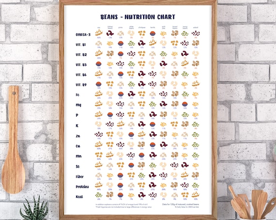 Beans Nutrition Sources Printable Poster vegan Diet Healthy - Etsy UK