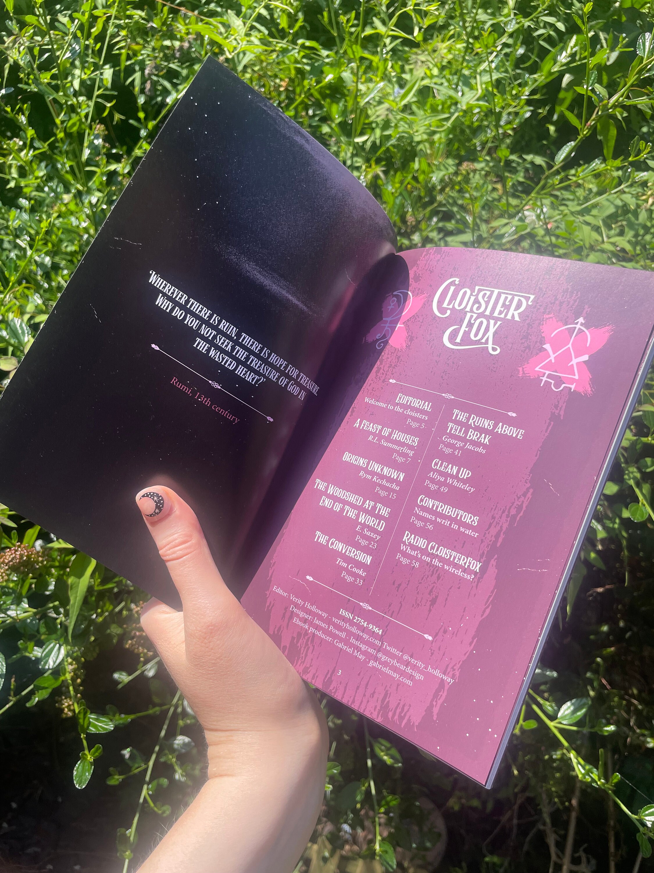 Cloisterfox Zine Issue 3 Spring/summer PAPERBACK Short Story - Etsy
