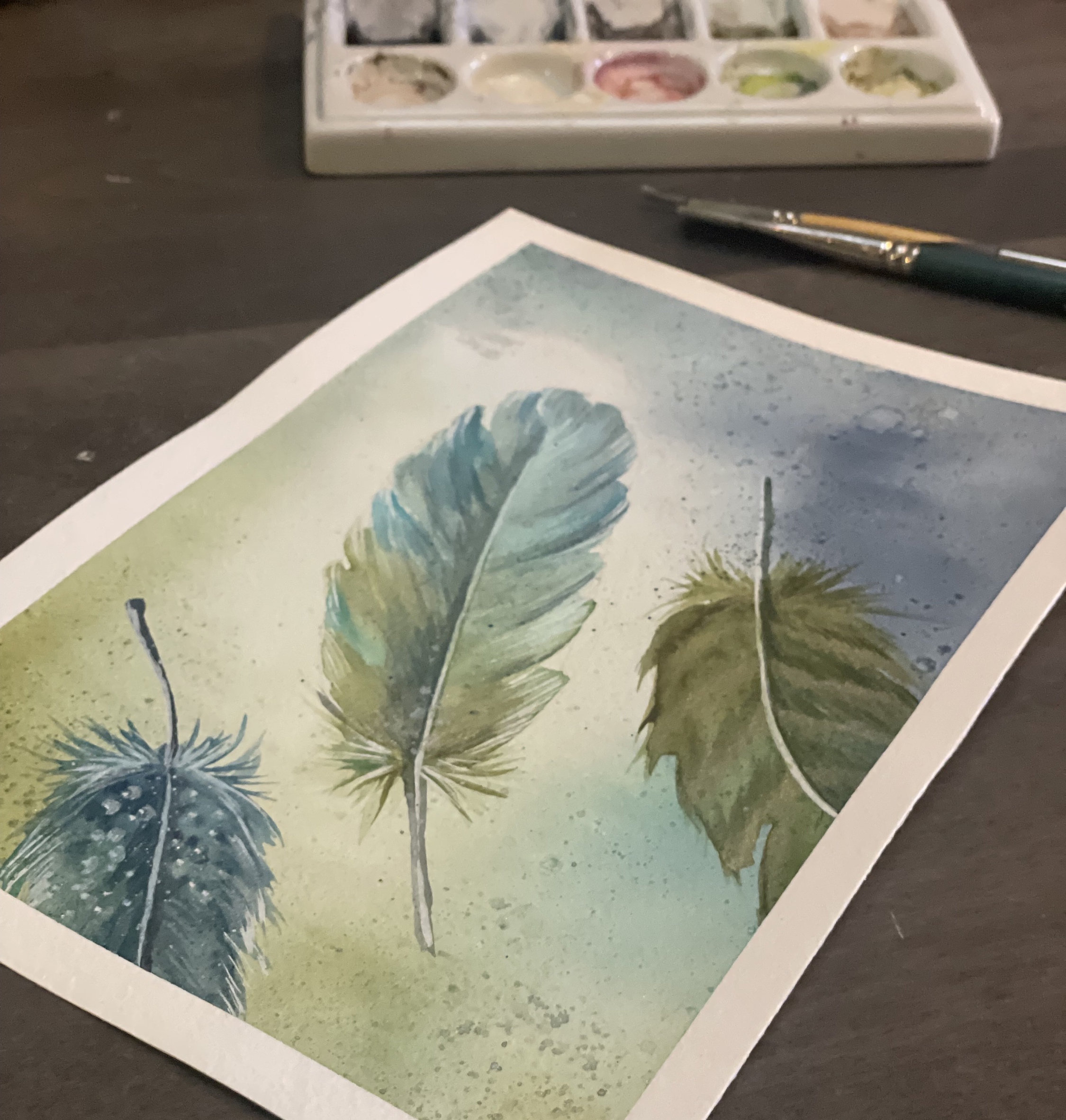 Feathers - Original Watercolour - Etsy