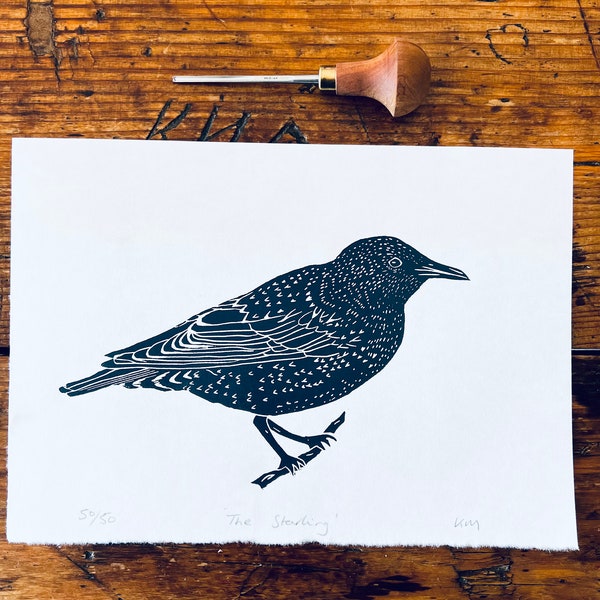 Bird Illustration - Etsy UK