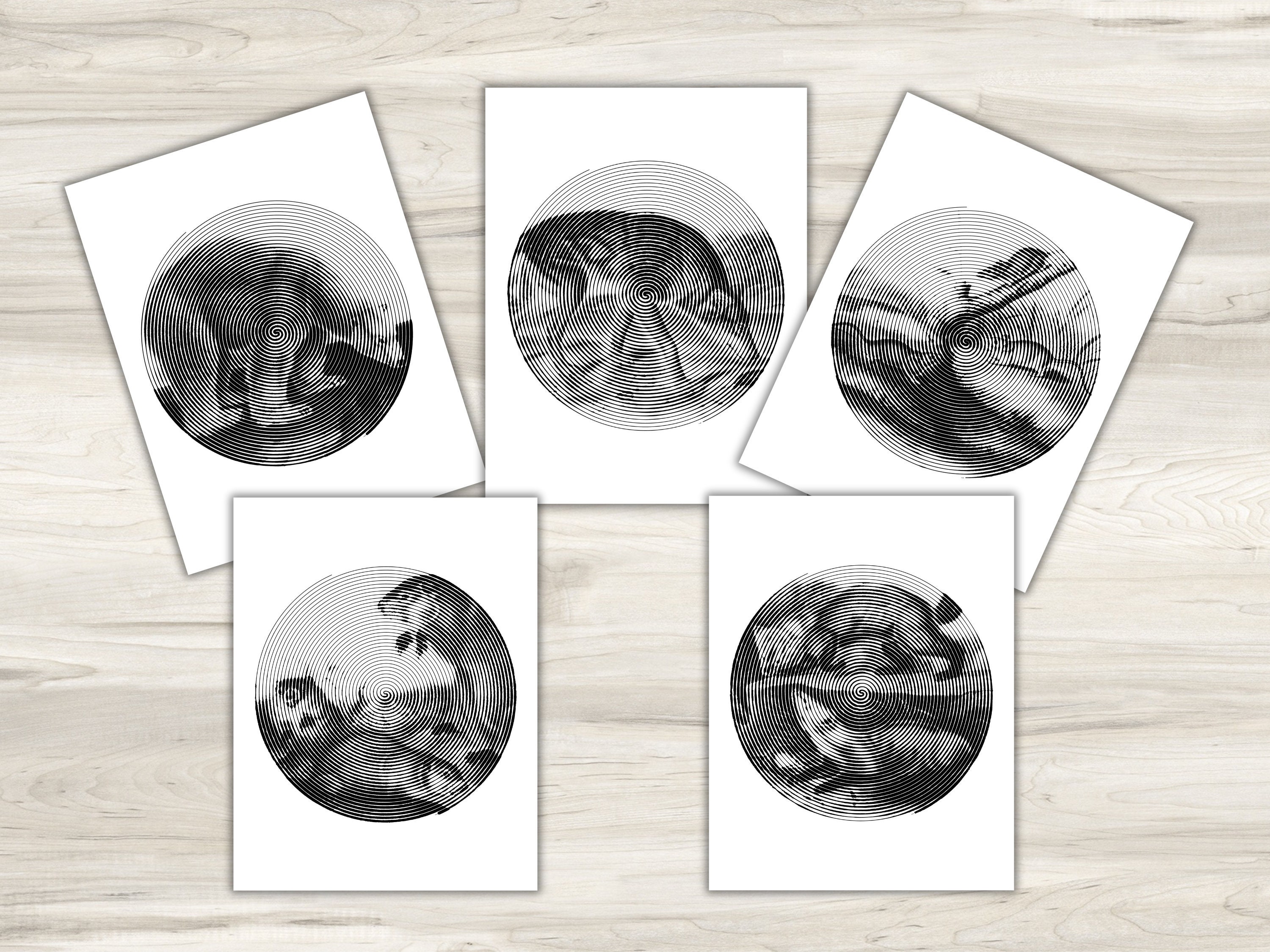 20 Spiroglyphic Wildlife Coloring Pages, Relax With Cute Animal Spiral ...