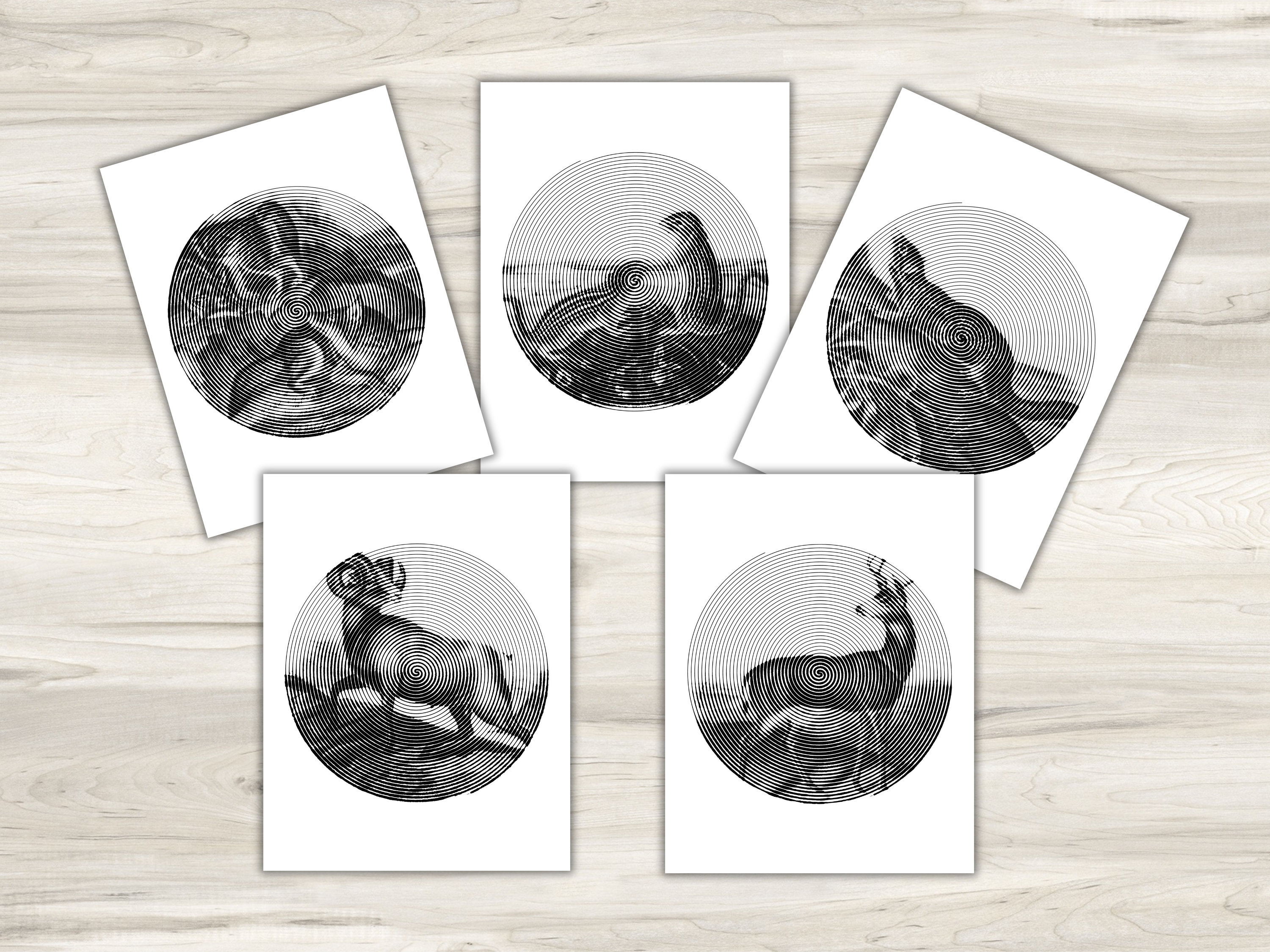 20 Spiroglyphic Wildlife Coloring Pages, Relax With Cute Animal Spiral ...