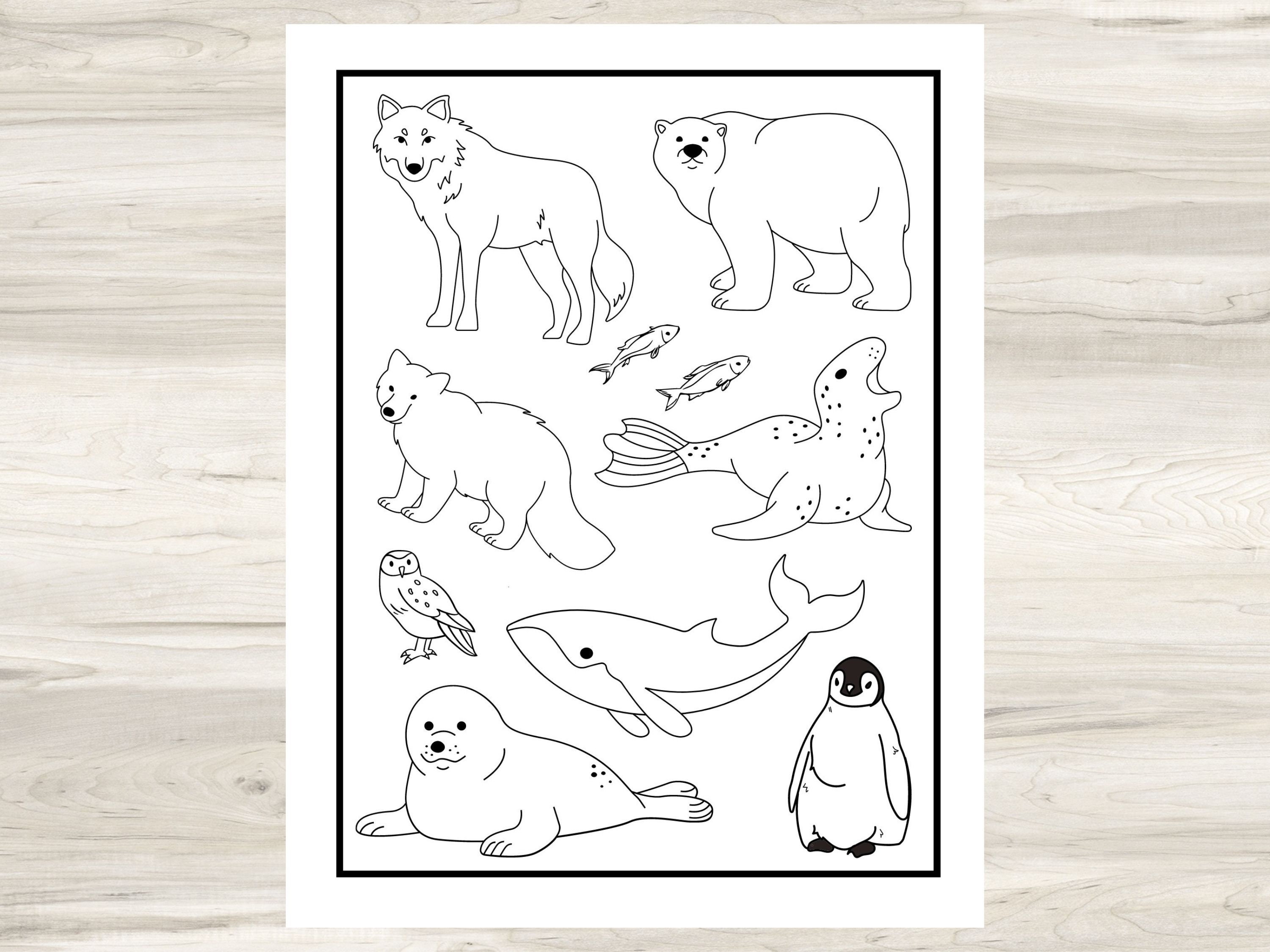 Arctic Animals Coloring Page for Kids, 8.5 X 11 Printable Coloring ...