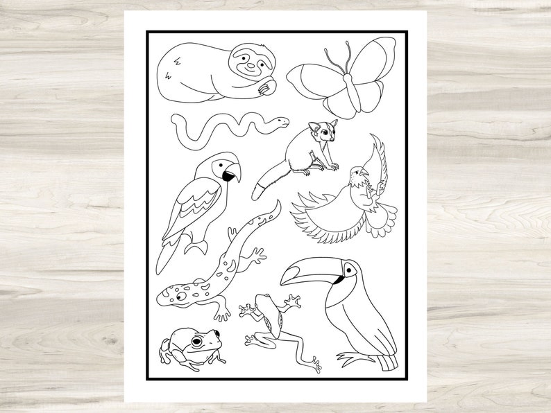 Rainforest Animals Printable Coloring Page for Kids, 8.5 X 11 Coloring ...