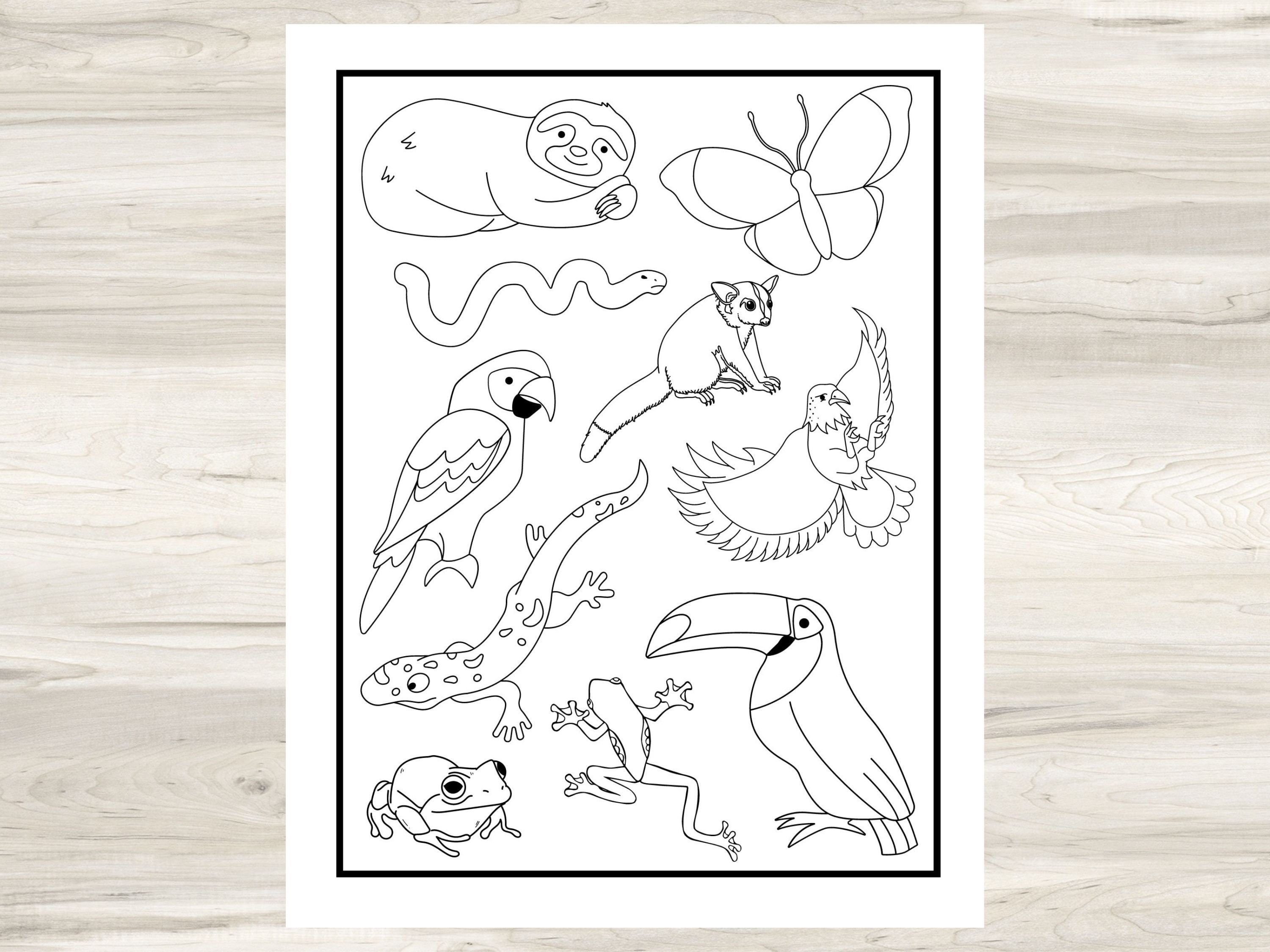 Rainforest Animals Printable Coloring Page for Kids, 8.5 X 11 Coloring ...