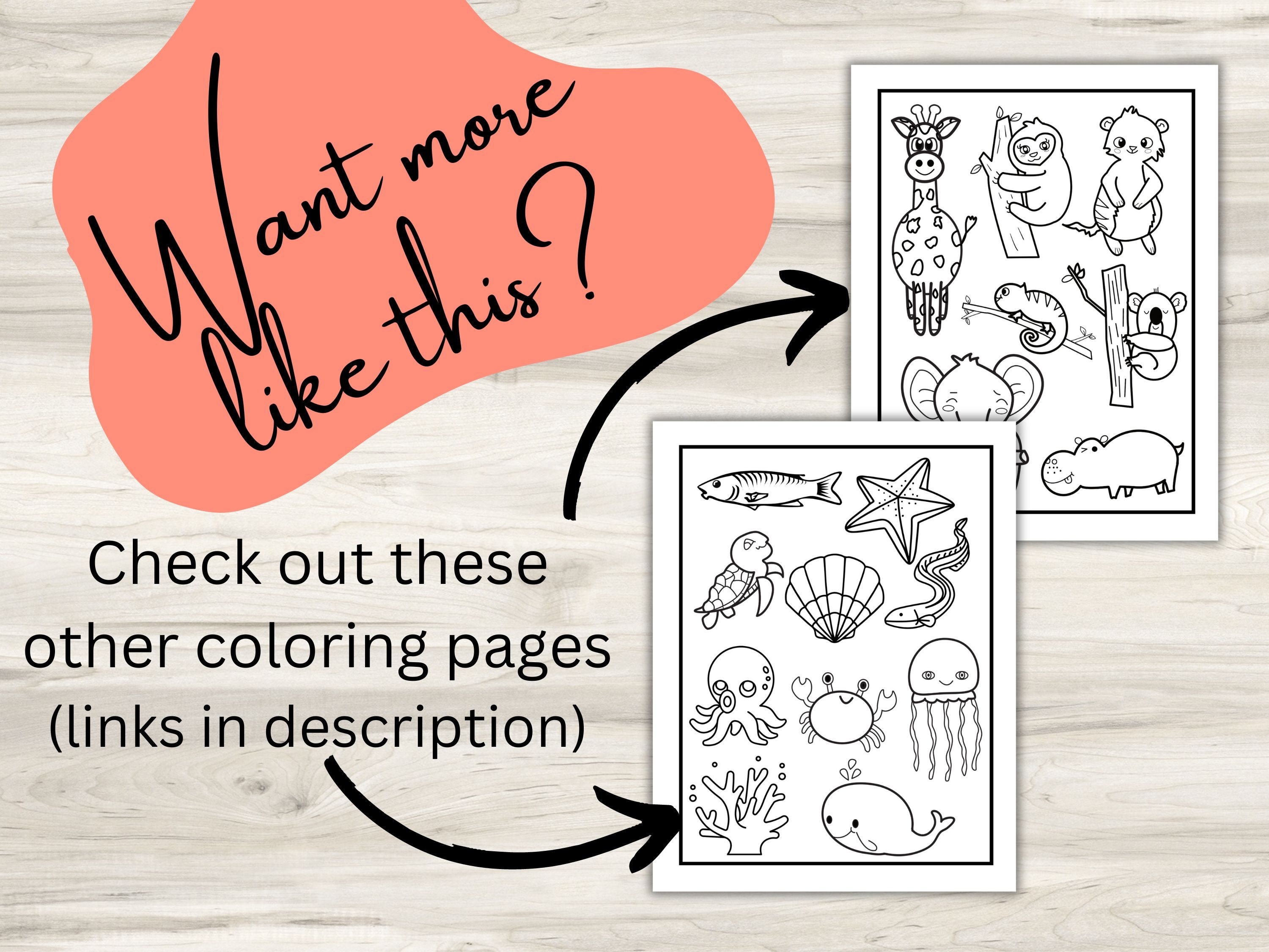 Rainforest Animals Printable Coloring Page for Kids, 8.5 X 11 Coloring ...