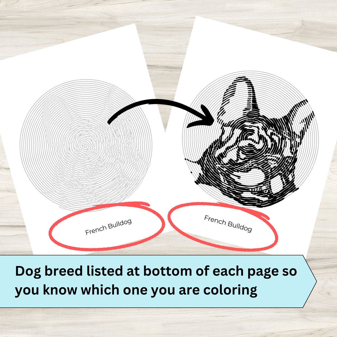 Dog Spiroglyphic Coloring Pages, Relax With Cute Animal Spiral Coloring ...
