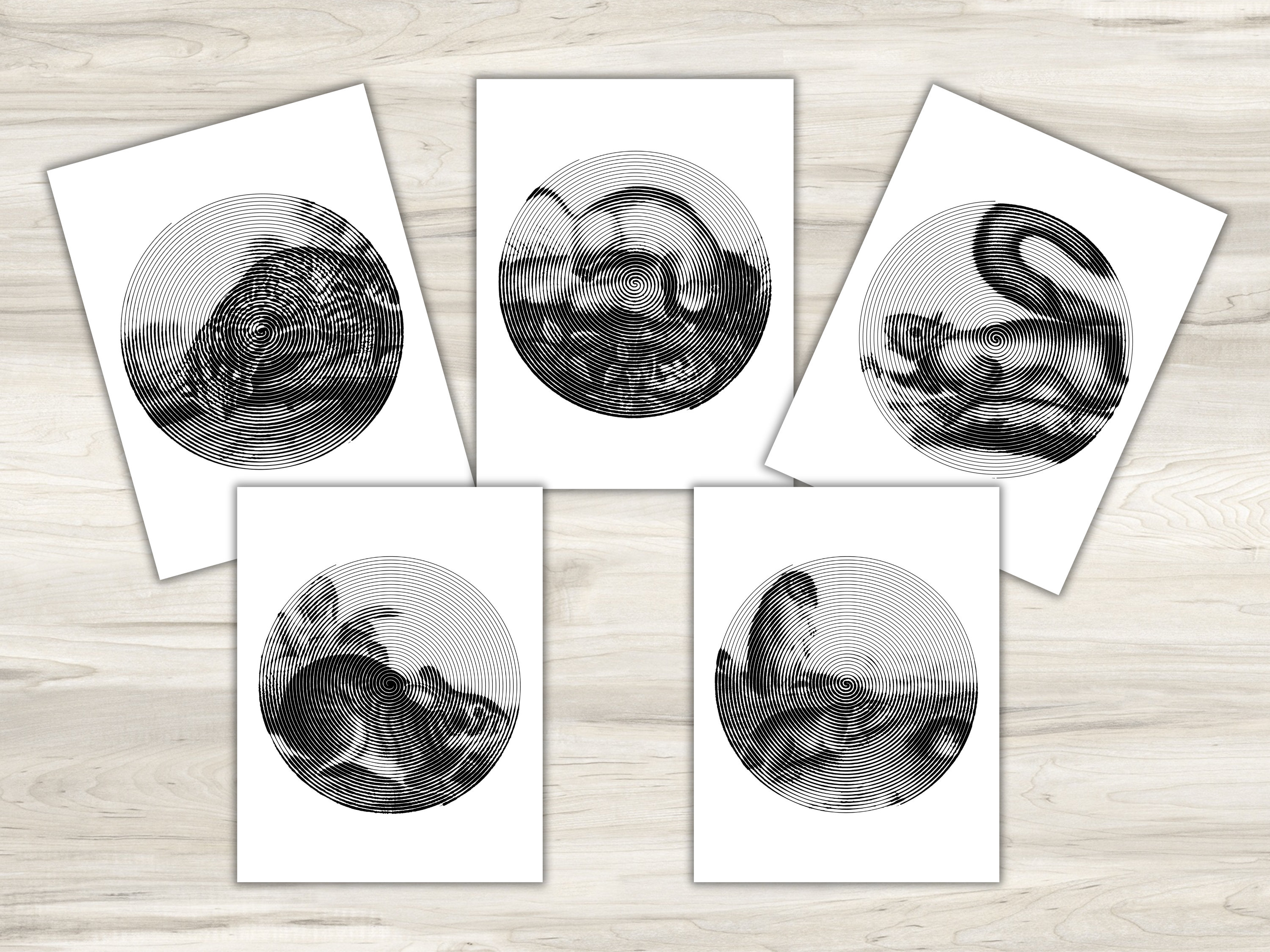 20 Spiroglyphic Wildlife Coloring Pages, Relax With Cute Animal Spiral ...