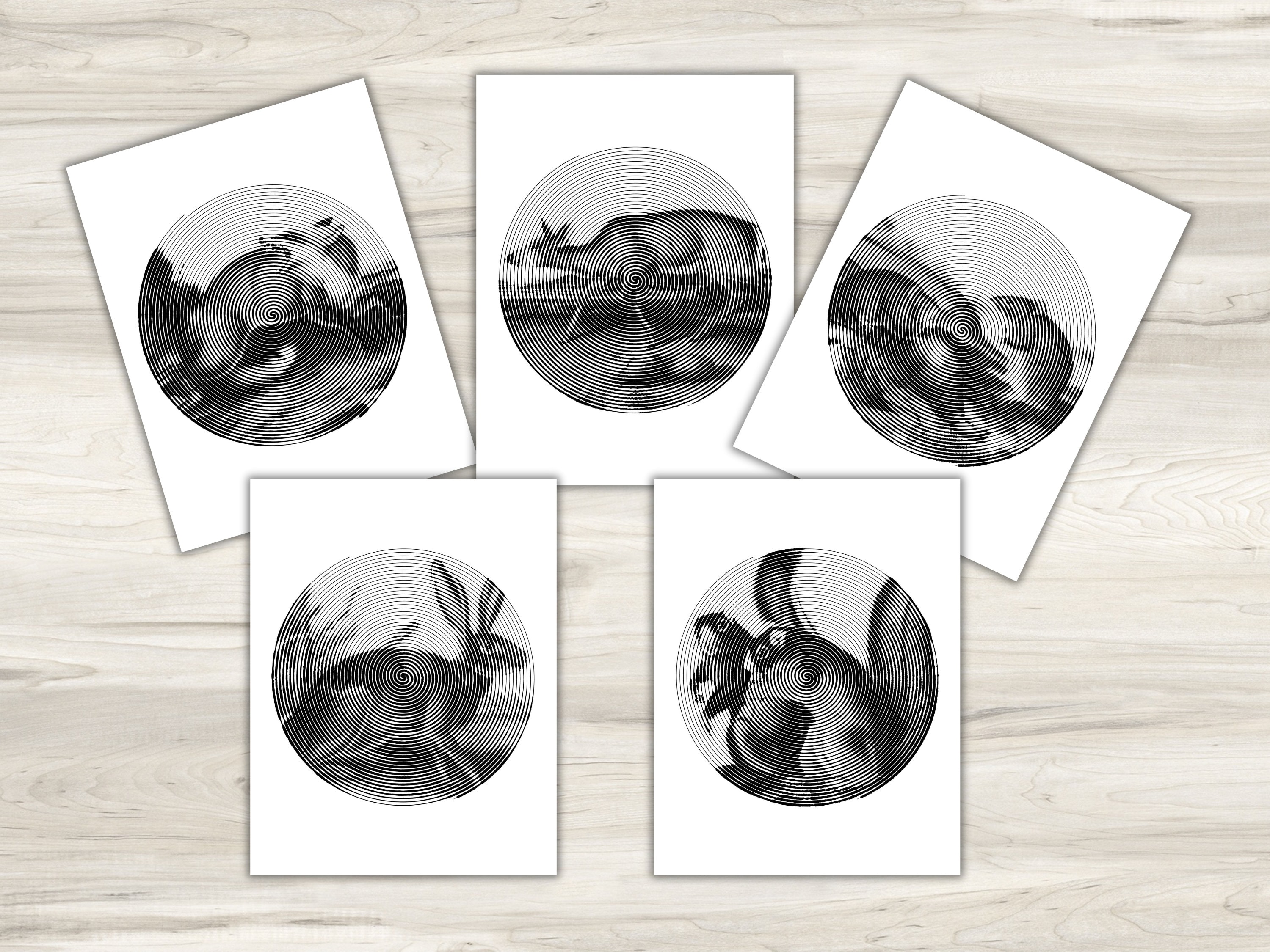 20 Spiroglyphic Wildlife Coloring Pages, Relax With Cute Animal Spiral ...