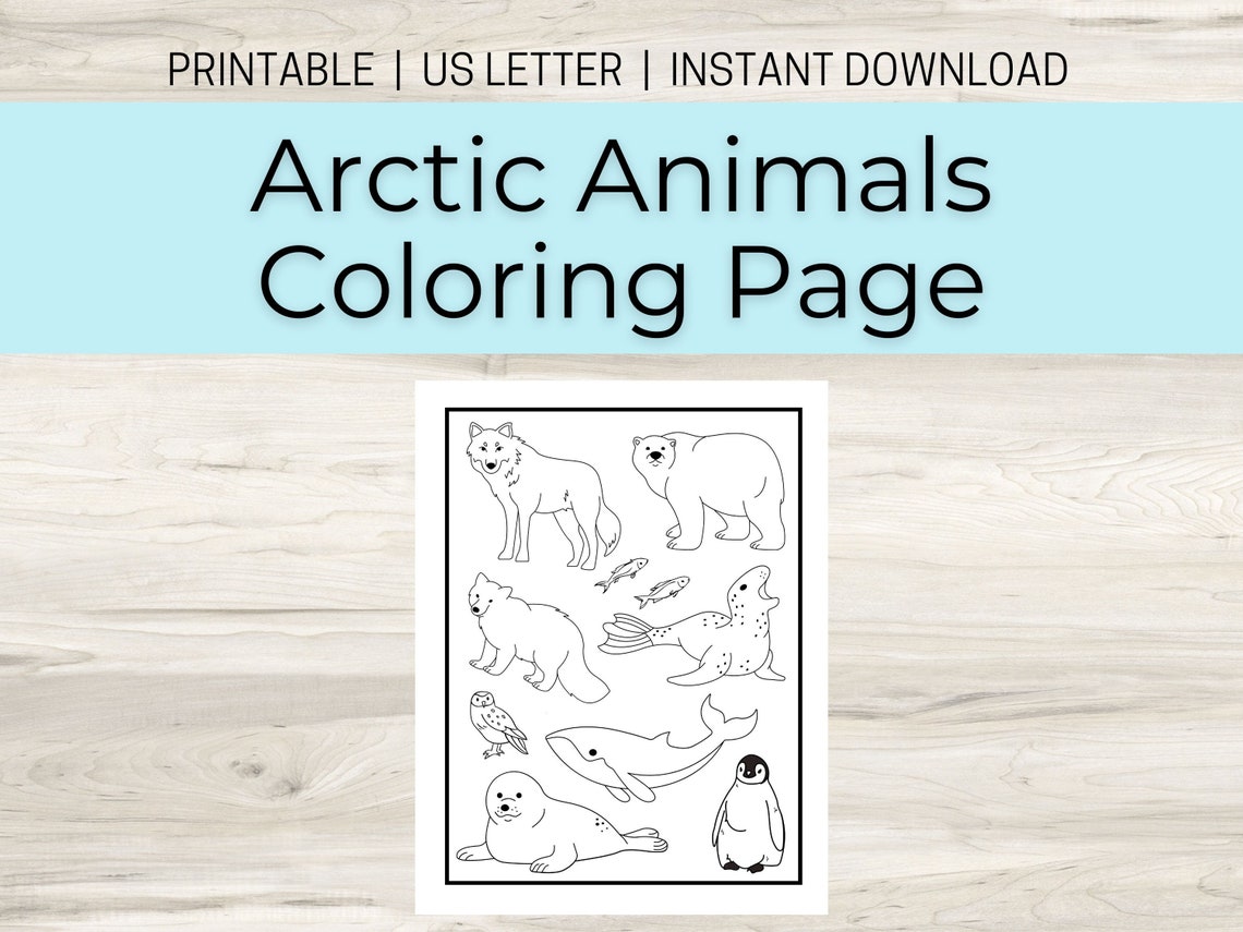 Arctic Animals Coloring Page for Kids, 8.5 X 11 Printable Coloring ...