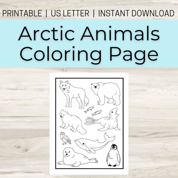 Arctic Animal Coloring Pages - Etsy