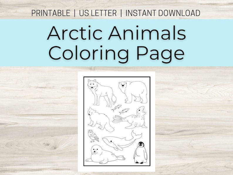 Arctic Animals Coloring Page for Kids, 8.5 X 11 Printable Coloring ...