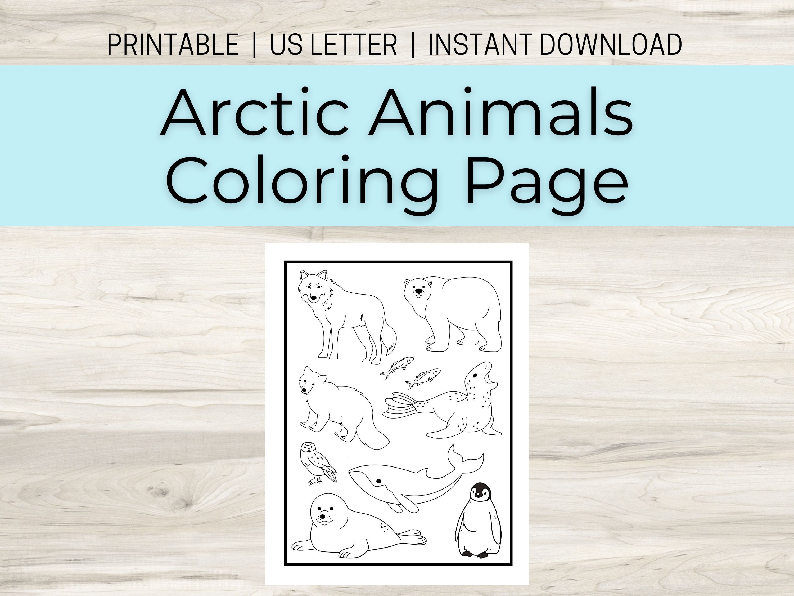 Arctic Animals Coloring Page for Kids, 8.5 X 11 Printable Coloring ...
