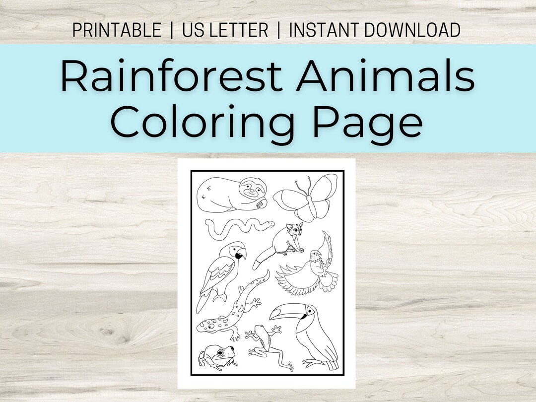 Rainforest Animals Printable Coloring Page for Kids, 8.5 X 11 Coloring ...