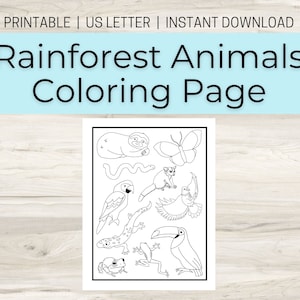 Rainforest Animals Printable Coloring Page for Kids, 8.5 X 11 Coloring ...