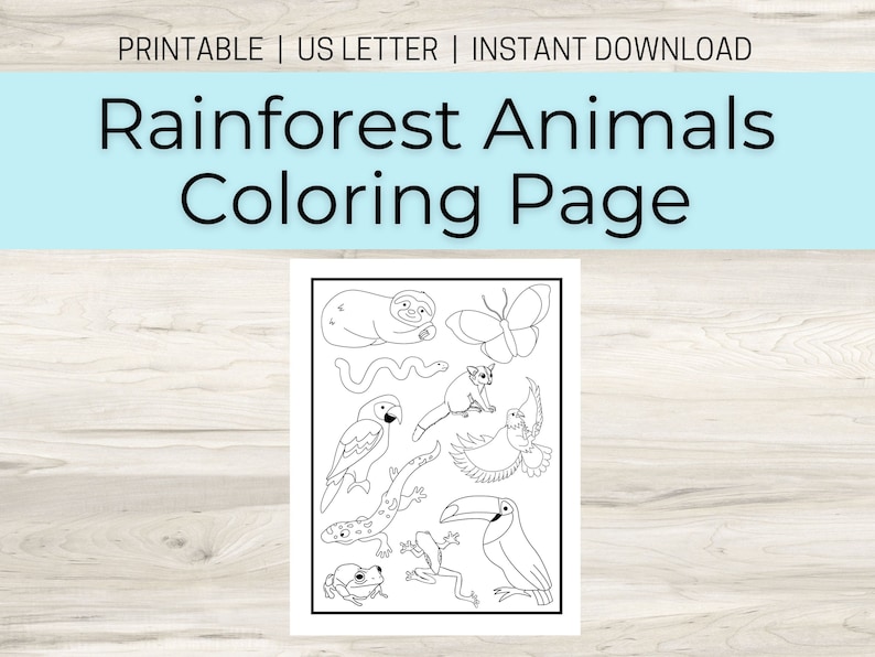 Rainforest Animals Printable Coloring Page for Kids, 8.5 X 11 Coloring ...