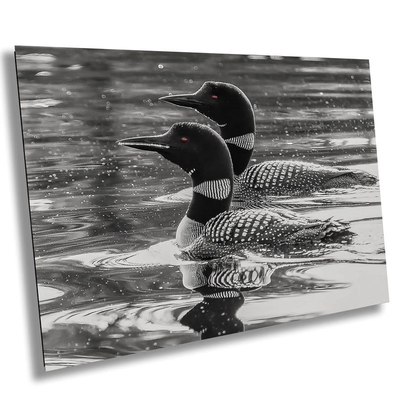 Loon Prints - Etsy