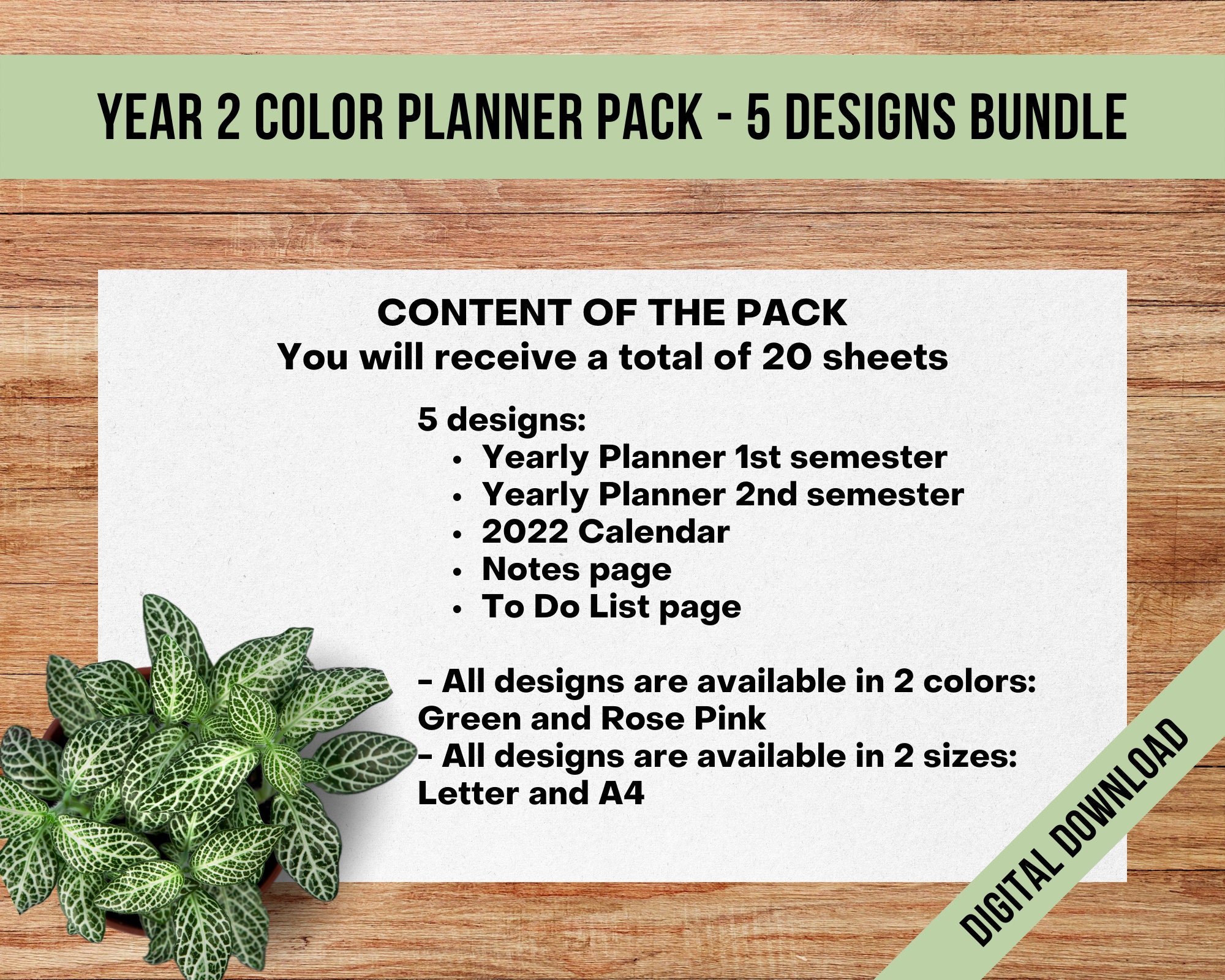 Paper Paper & Party Supplies Organizer Weekly Green and Rose Pink Color ...