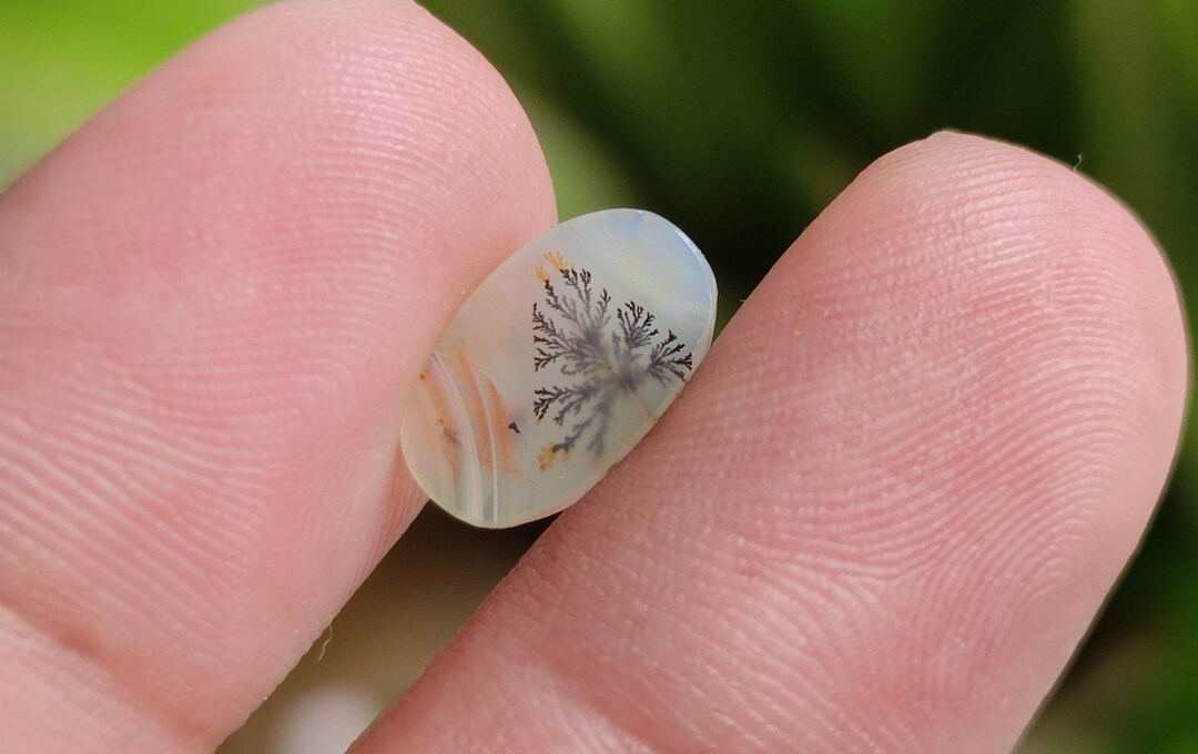 Dendritic Quartz....natural Dendritic Agate... Sceneric Dendritic ...