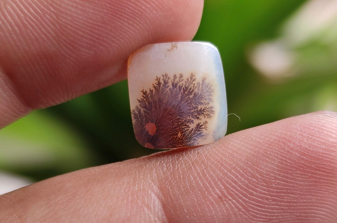 Dendritic Quartz....natural Dendritic Agate... Sceneric Dendritic ...