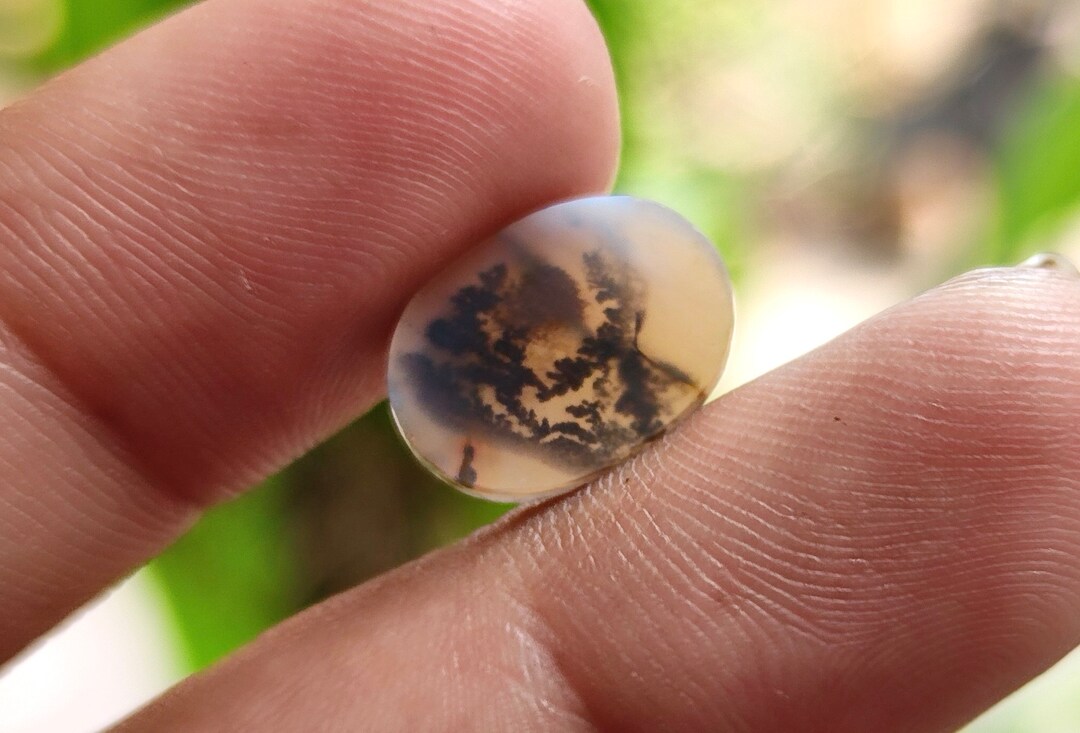 Dendritic Quartz....natural Dendritic Agate... Sceneric Dendritic ...