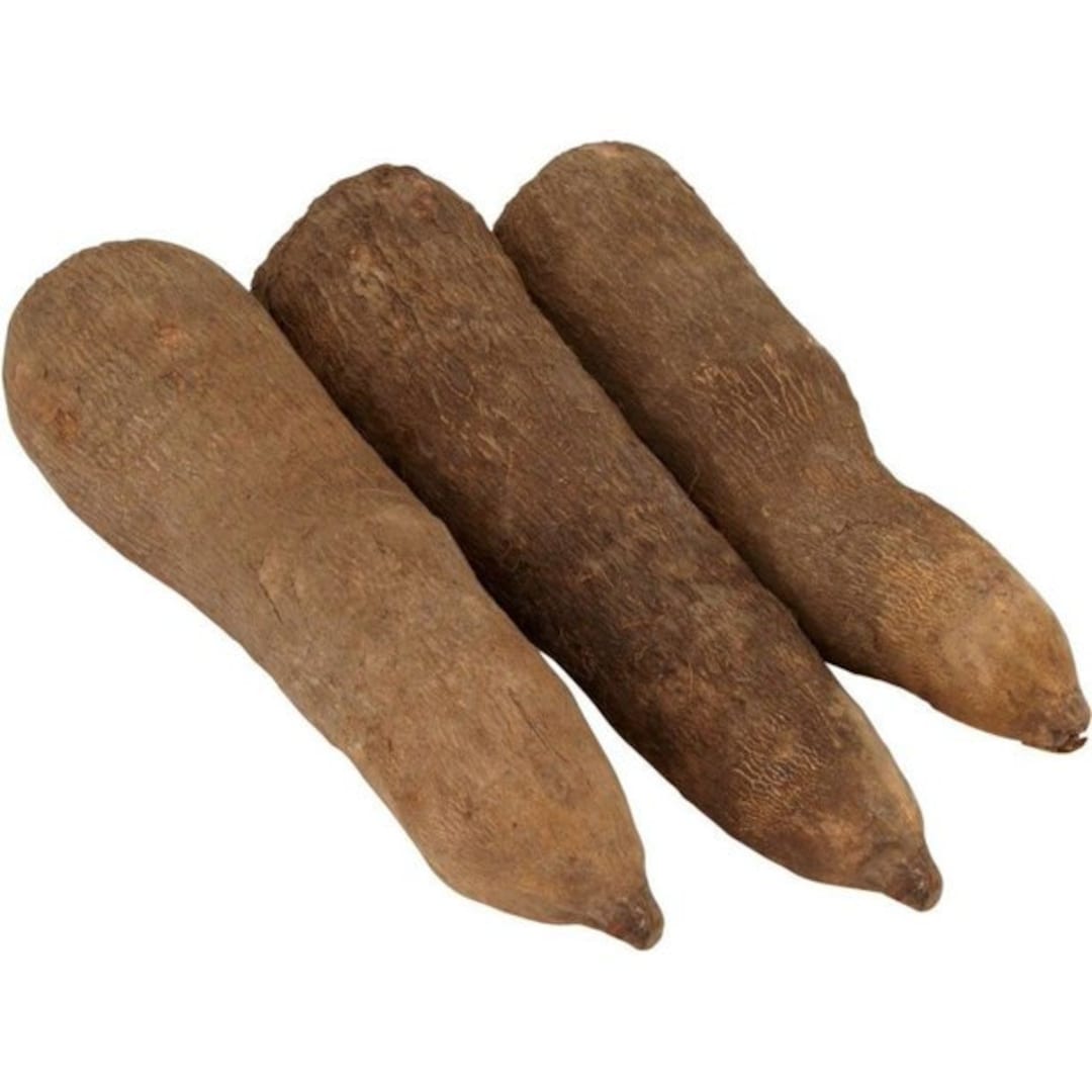 Yam 1 Tuber Organic Yam Nigerian Yam Ghana Yam Puna - Etsy