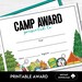 Boys Camp Awards, Summer Camp Certificate for Kids, Printable ...
