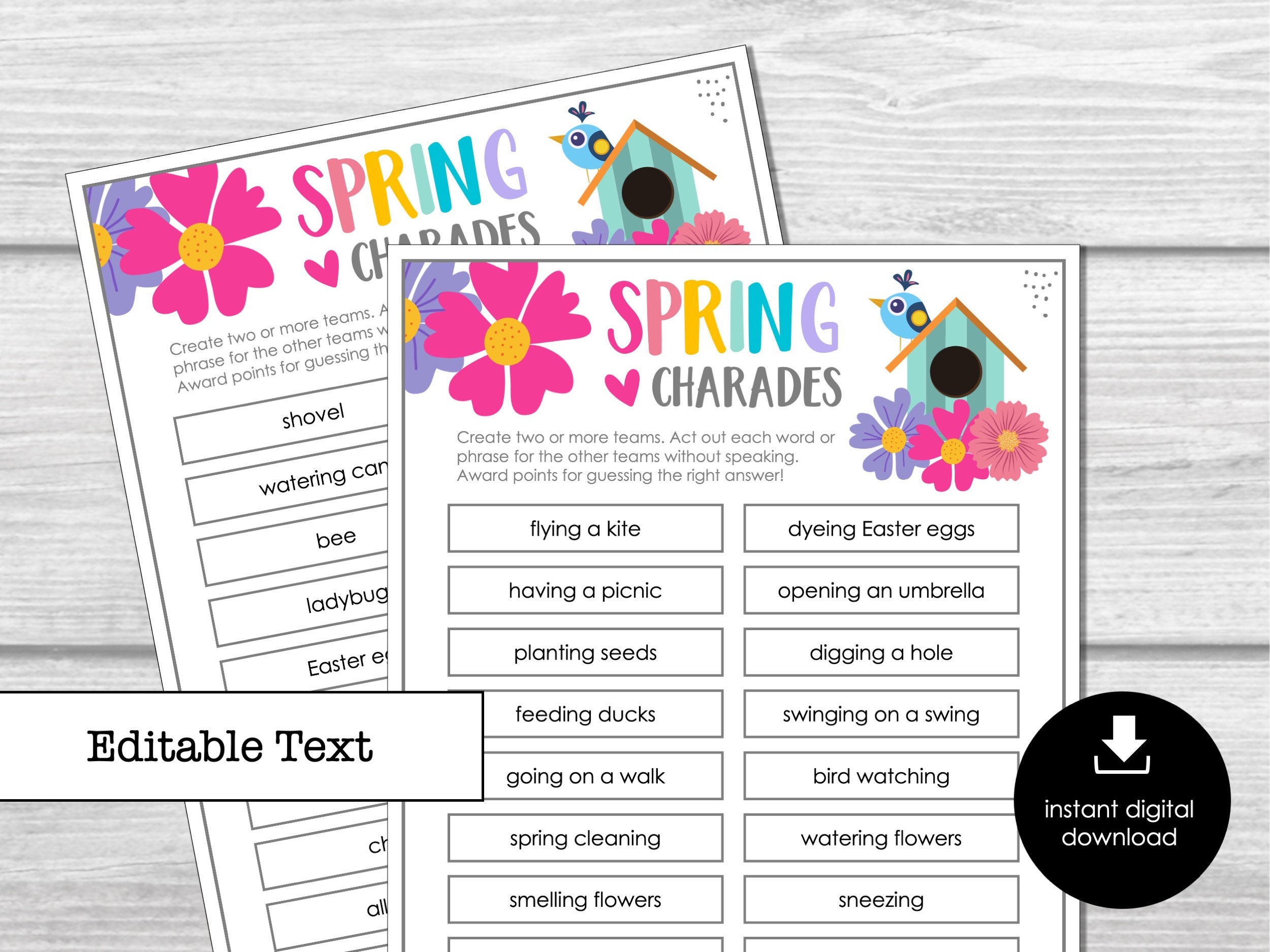 Spring Charades Party Game for Kids, Classroom Charades for Springtime ...