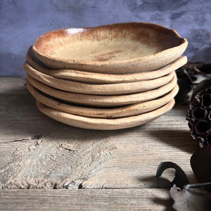 Irregular Shape Bowls Ceramic Shallow Bowl Rustic Bowls - Etsy