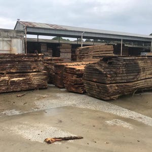 SUAR SLAB I Raw Wood / Trunk Wood / Amber Wood / Live Edge Slab / SAMAN ...