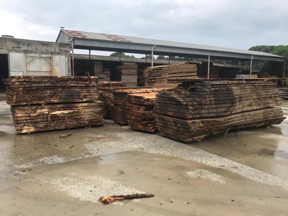 SUAR SLAB I Raw Wood / Trunk Wood / Amber Wood / Live Edge Slab / SAMAN ...