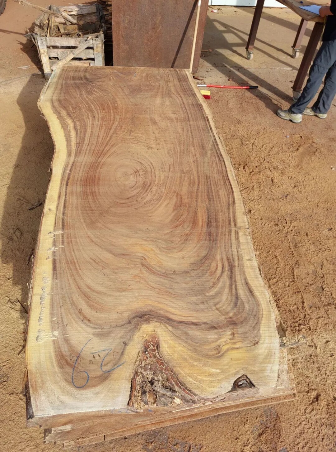SUAR WOOD SLAB I Wooden Slab I Raw Wood / Trunk Wood / Amber Wood / Raw ...