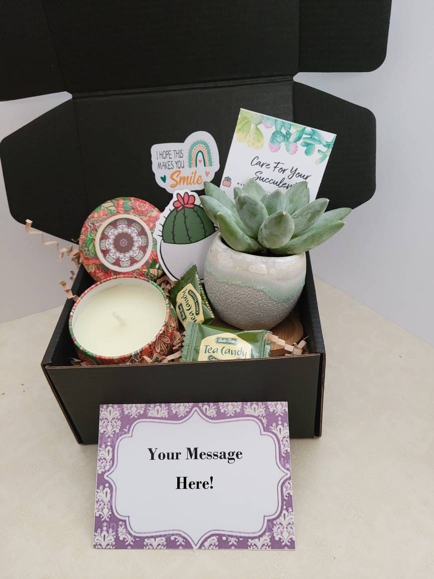 Succulent Gift Box - Etsy
