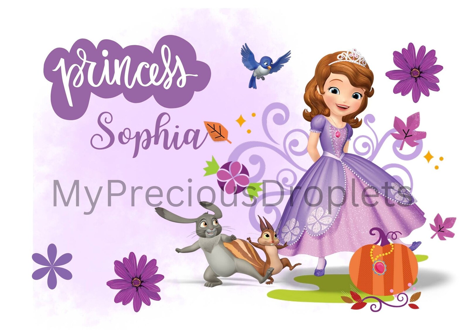 Princess Sophia PNG Clipart Instant Digital Download for Zipper Bags ...