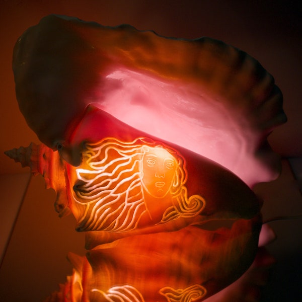 Conch Shell Art - Etsy